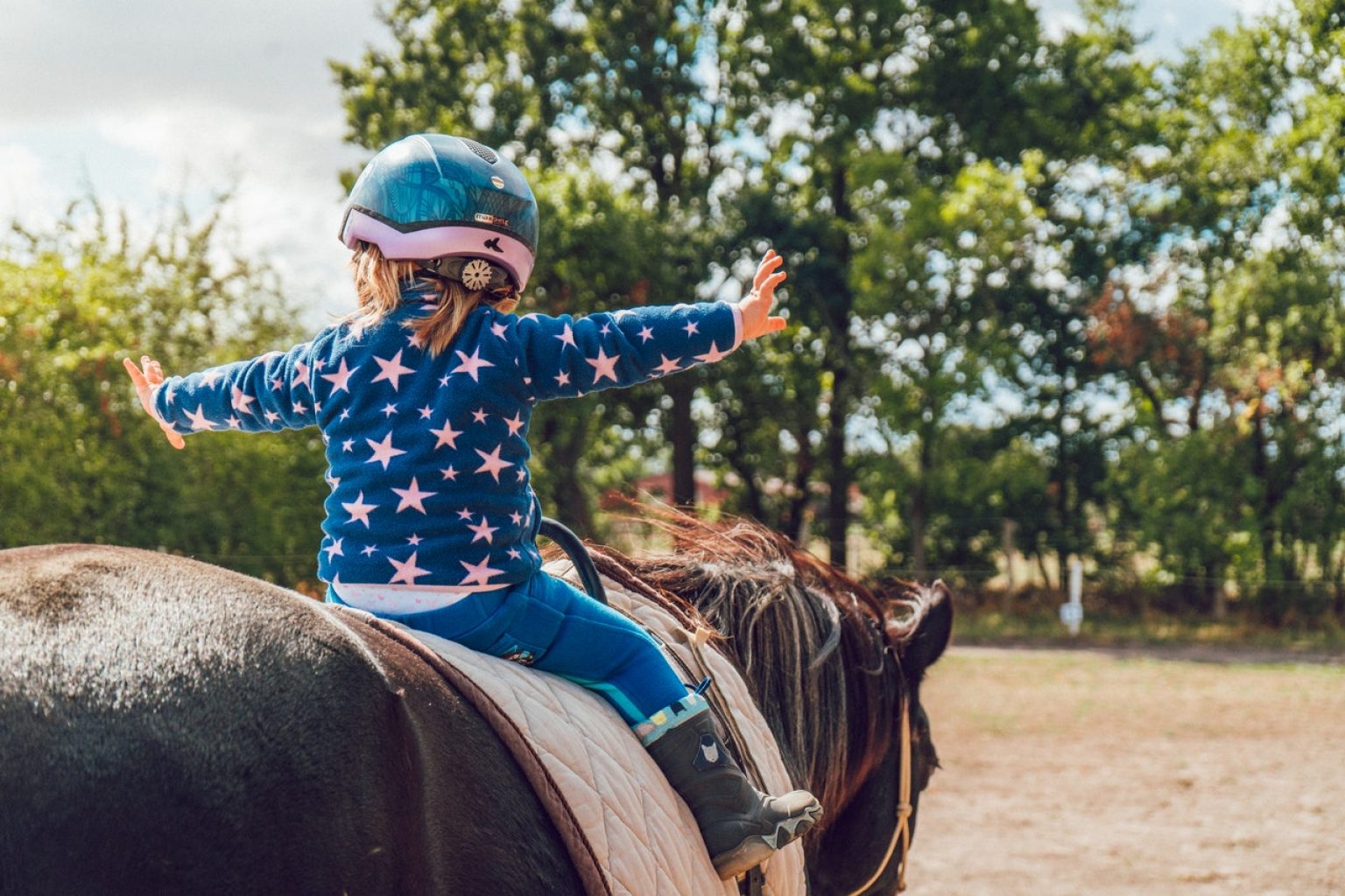 Comment bien Équiper son Cheval pour la Pratique de l'Équitation ? - Eyops